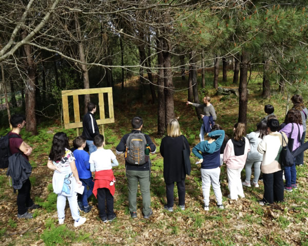 Reverdecer | Fundación María José Jove